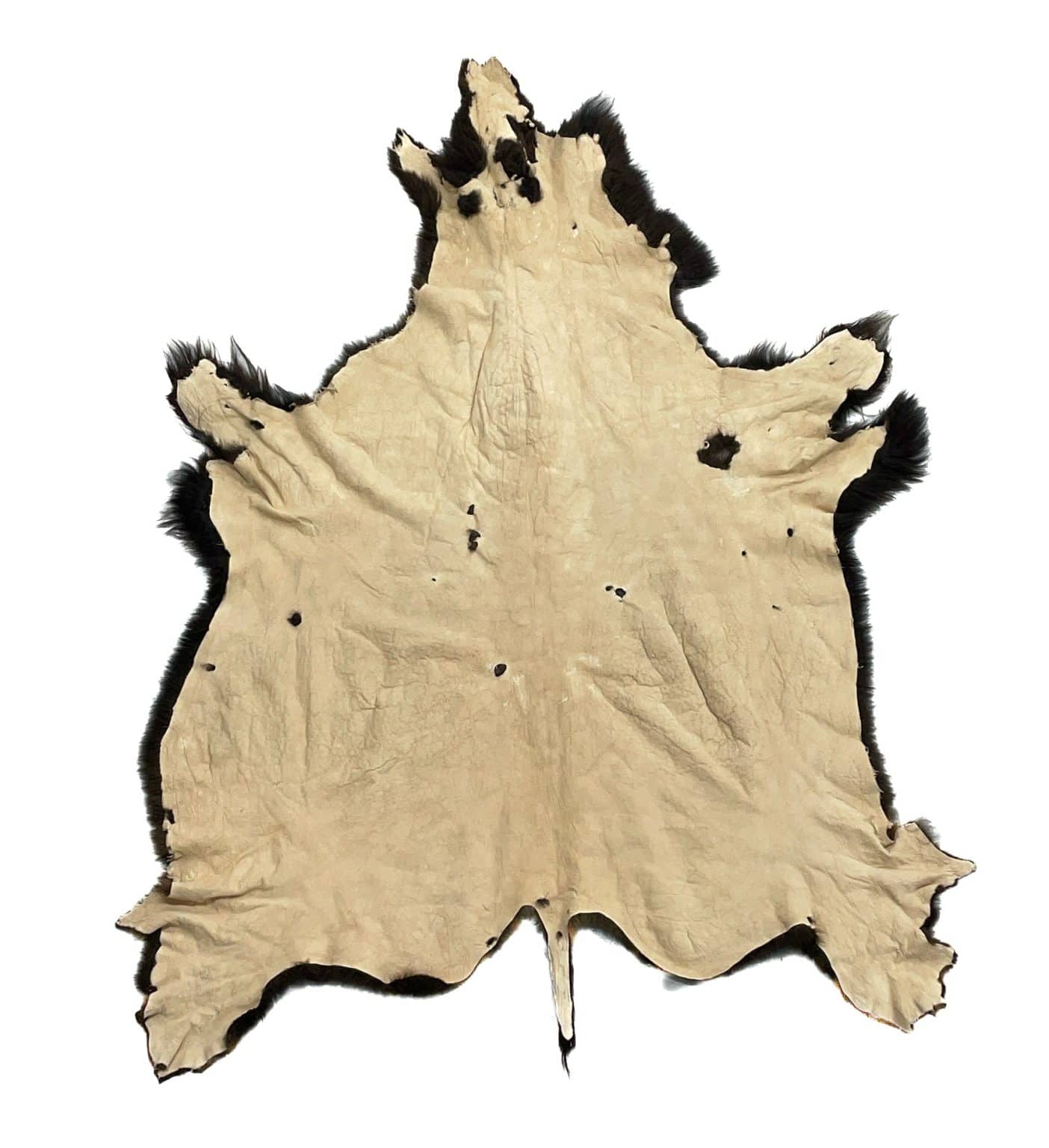 Economy Grade Buffalo Hide – Rustic Full-Grain Bison Hide, Perfect for ...