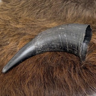 Rustic Western Decor | Bison Horn Cap | Merlin's Hide Out