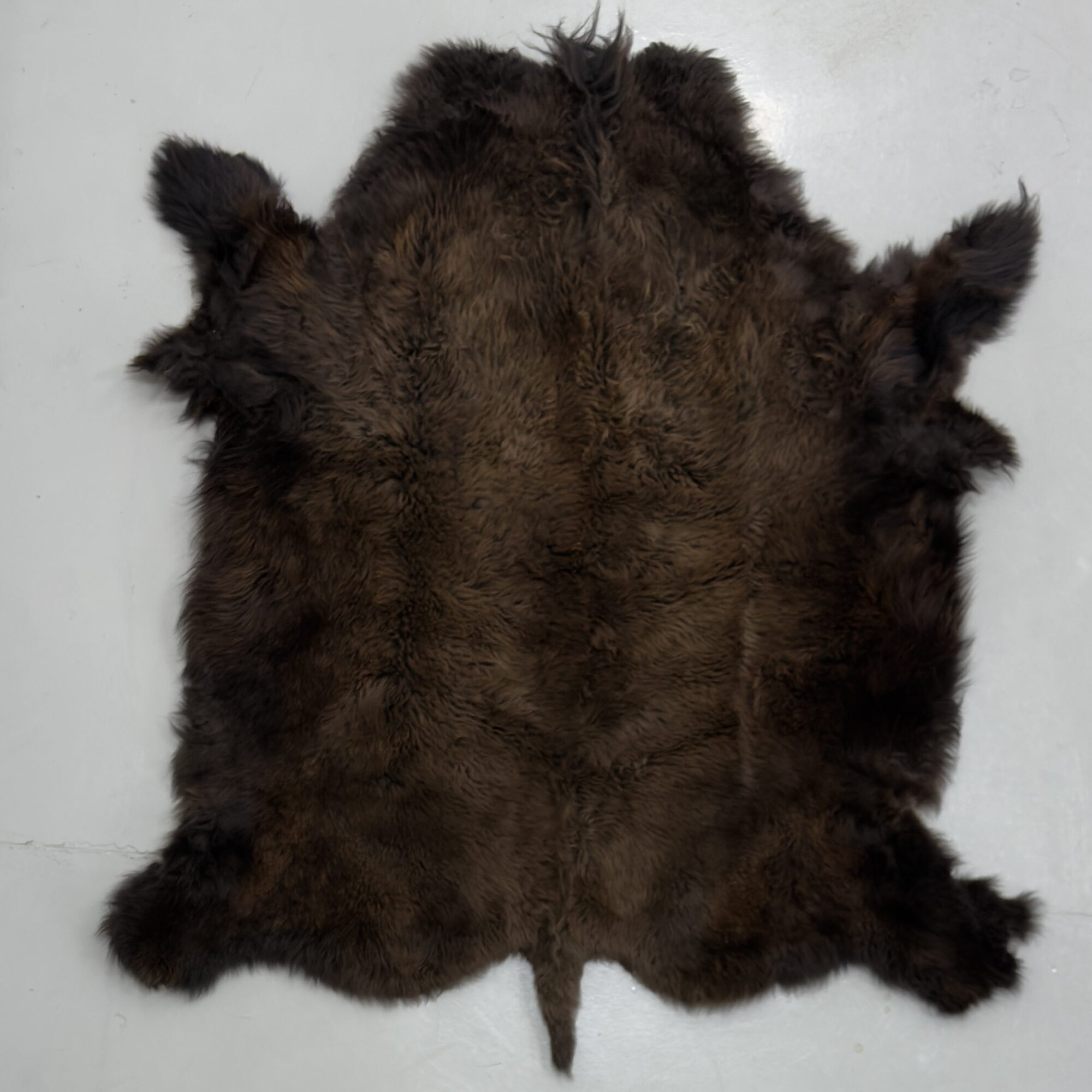 Buffalo Hide #62703 - 74“ x 60“ | Hand Selected, Limited Availability
