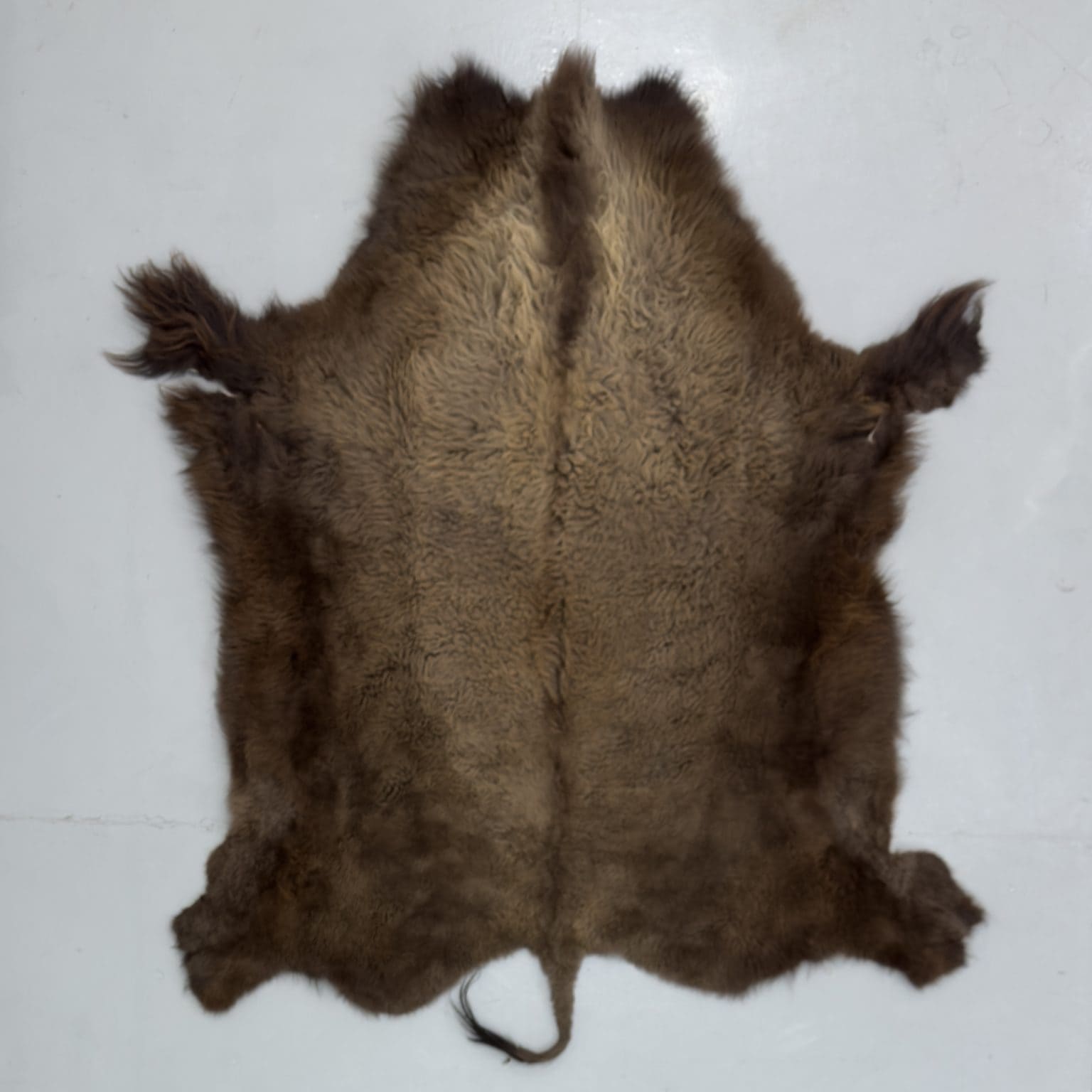 Buffalo Hide #62709 - 74” x 60" | Hand Selected, Limited Availability